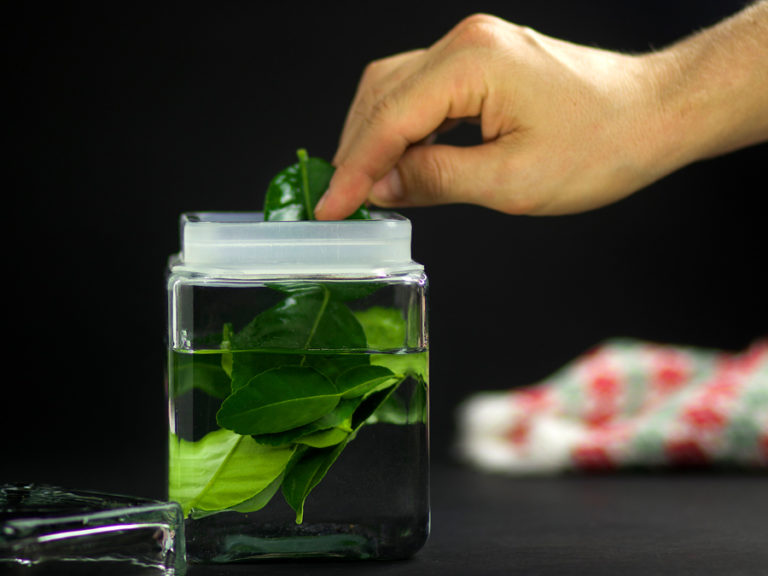 Kaffir Lime Summer Sipper with Peppermint Foam | Flair Project